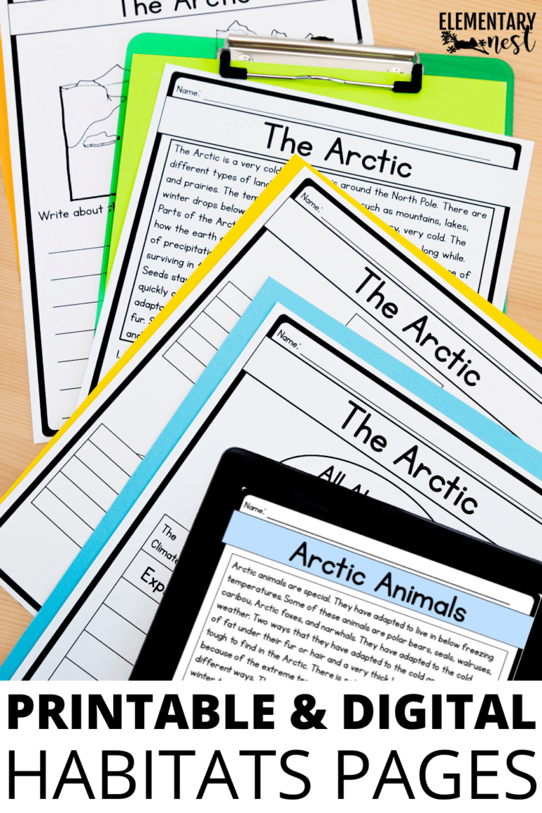 5 Fun Habitats Activities, Lessons, Books, Projects For Kids