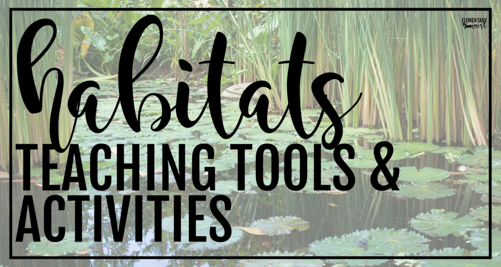 5 Fun Habitats Activities, Lessons, Books, Projects For Kids