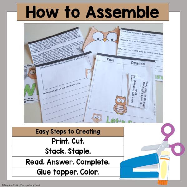 Owl Reading Flip Book Nonfiction For Kids Owl Craft Flip Book
