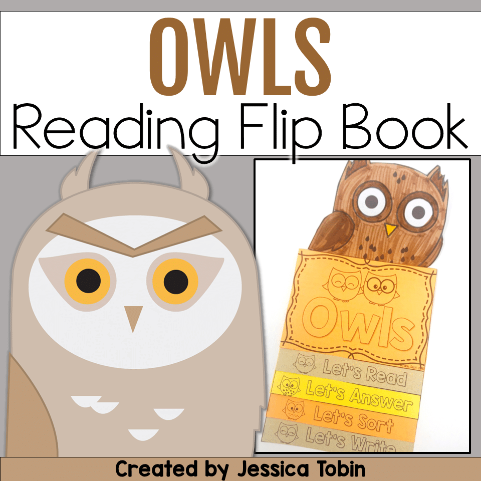 Owl Reading Flip Book Nonfiction For Kids Owl Craft Flip Book