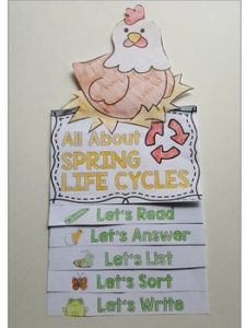 Spring Life Cycles Flip Book