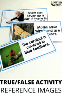 Teaching Nonfiction Skills in Kindergarten - Elementary Nest
