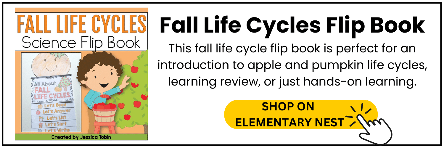 6 Fun Pumpkin Life Cycle Activities For Fall Classroom Lessons