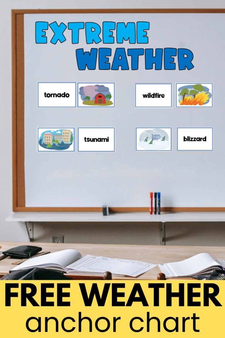17 Best Weather Books For Kids
