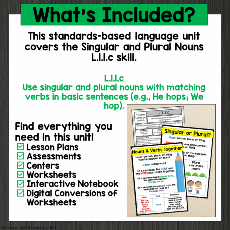 L.1.1.c 1st Grade Subject And Verb Agreement, Singular And Plural Nouns