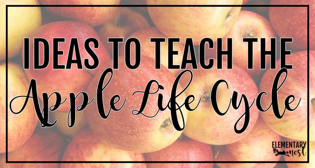 5 Fun Ways To Use Apple Life Cycle Worksheets And Activities In The ...