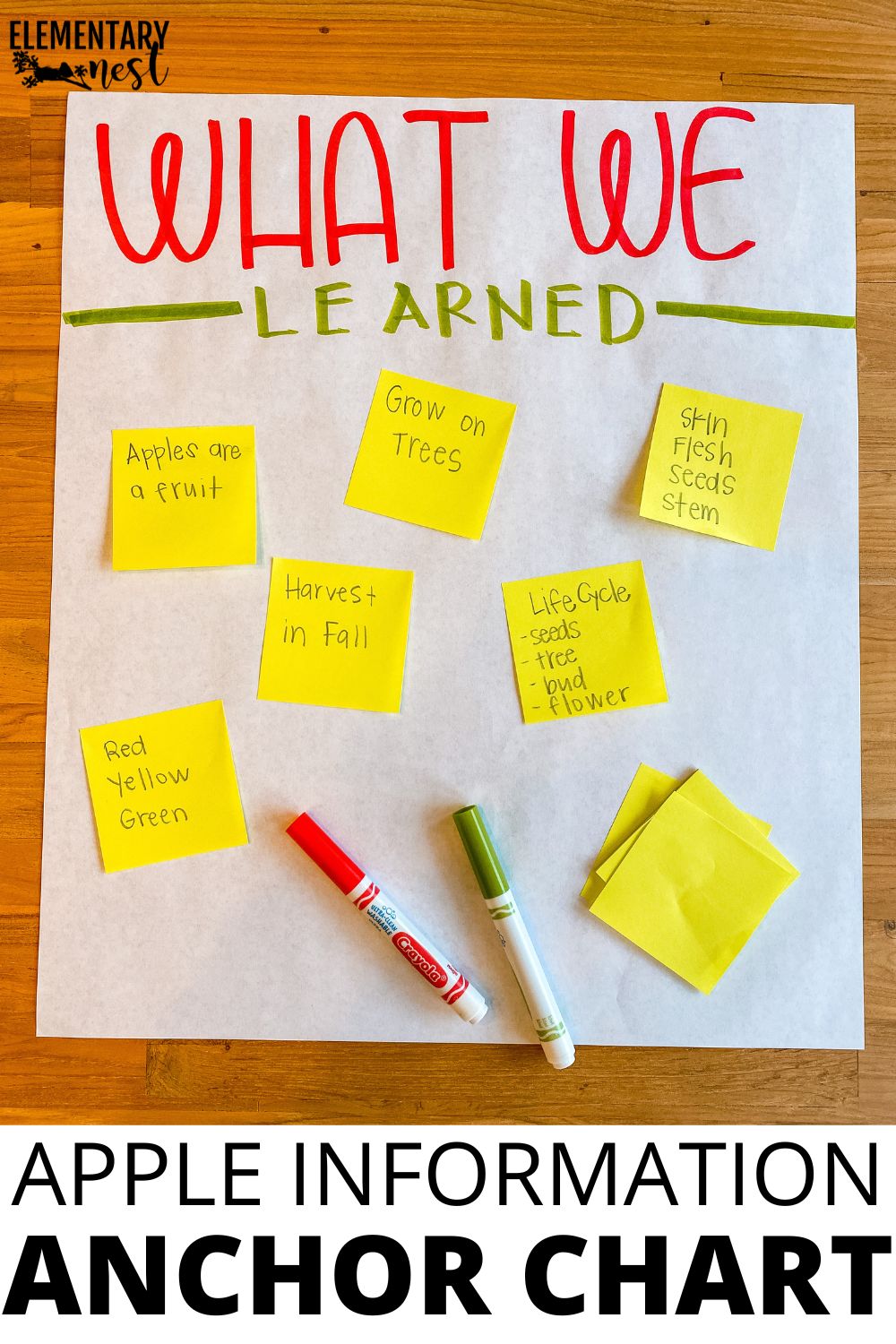 5 Fun Ways To Use Apple Life Cycle Worksheets And Activities In The ...