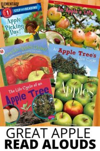 5 Fun Ways To Use Apple Life Cycle Worksheets And Activities In The ...