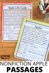 5 Fun Ways To Use Apple Life Cycle Worksheets And Activities In The ...