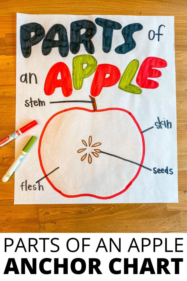 5 Fun Ways To Use Apple Life Cycle Worksheets And Activities In The ...