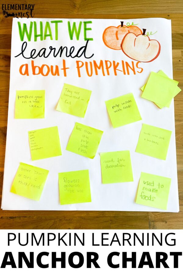 6 Fun Pumpkin Life Cycle Activities For Fall Classroom Lessons