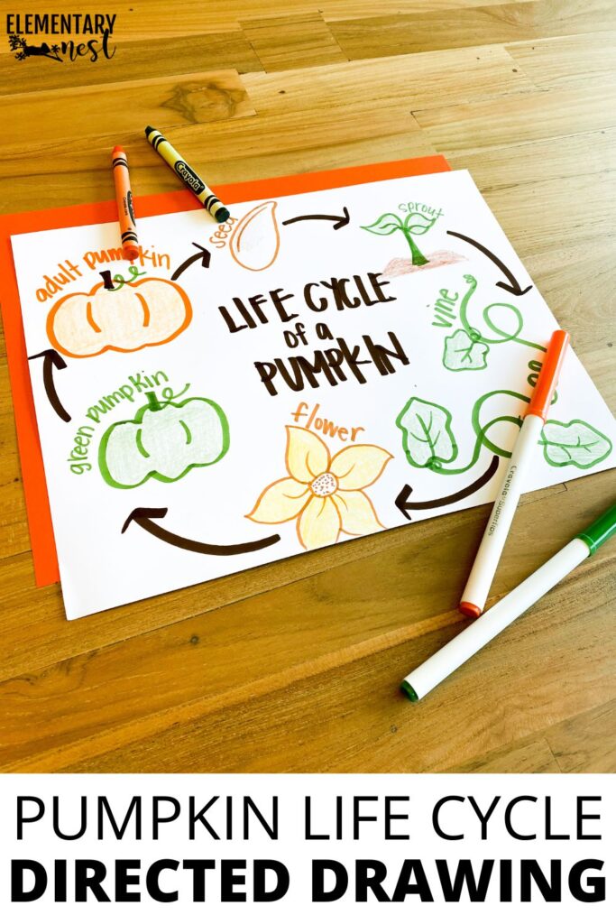 6 Fun Pumpkin Life Cycle Activities For Fall Classroom Lessons