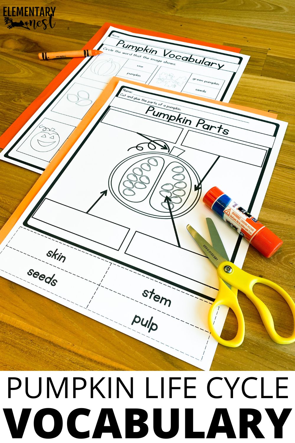 6 Fun Pumpkin Life Cycle Activities For Fall Classroom Lessons