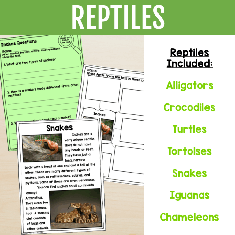 All About Reptiles Nonfiction Reading Unit
