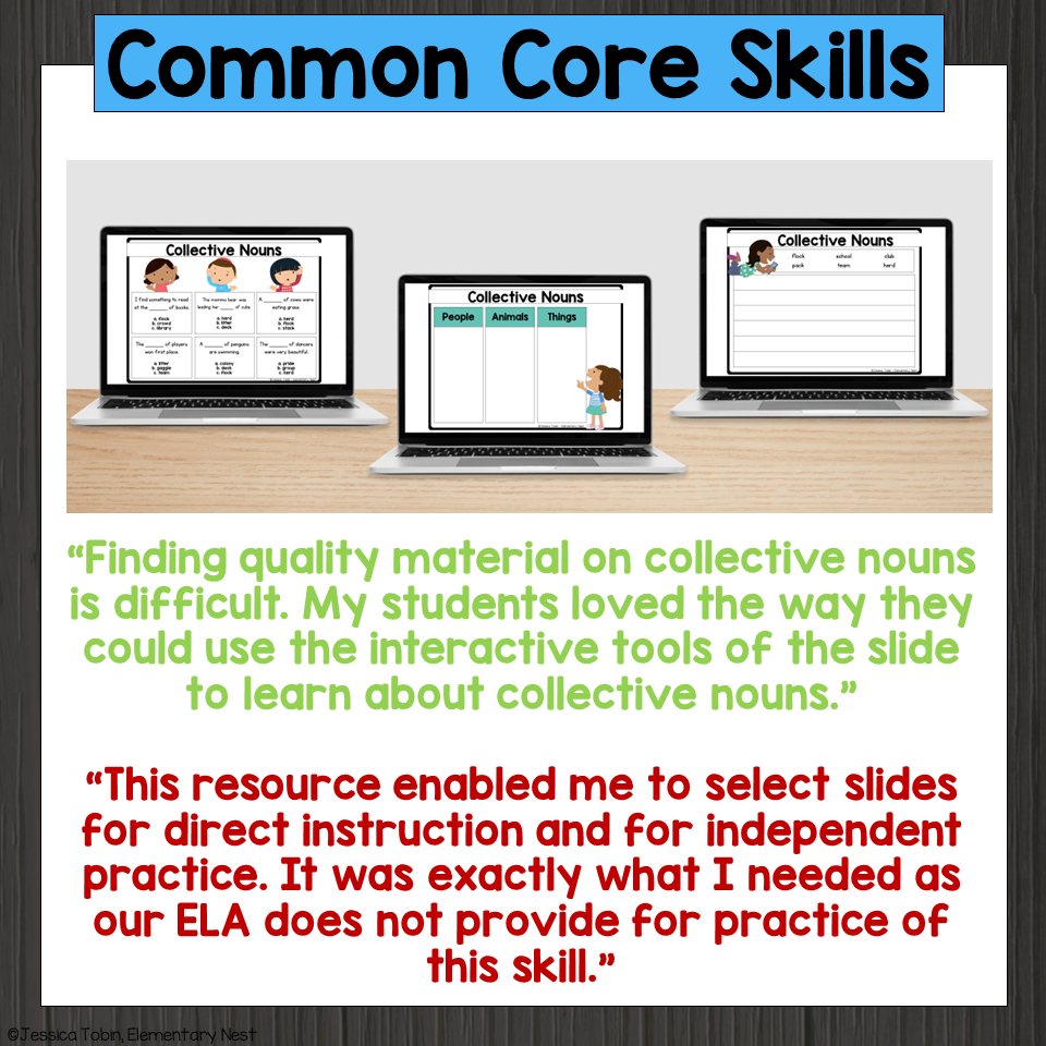 Digital Collective Nouns L.2.1.a