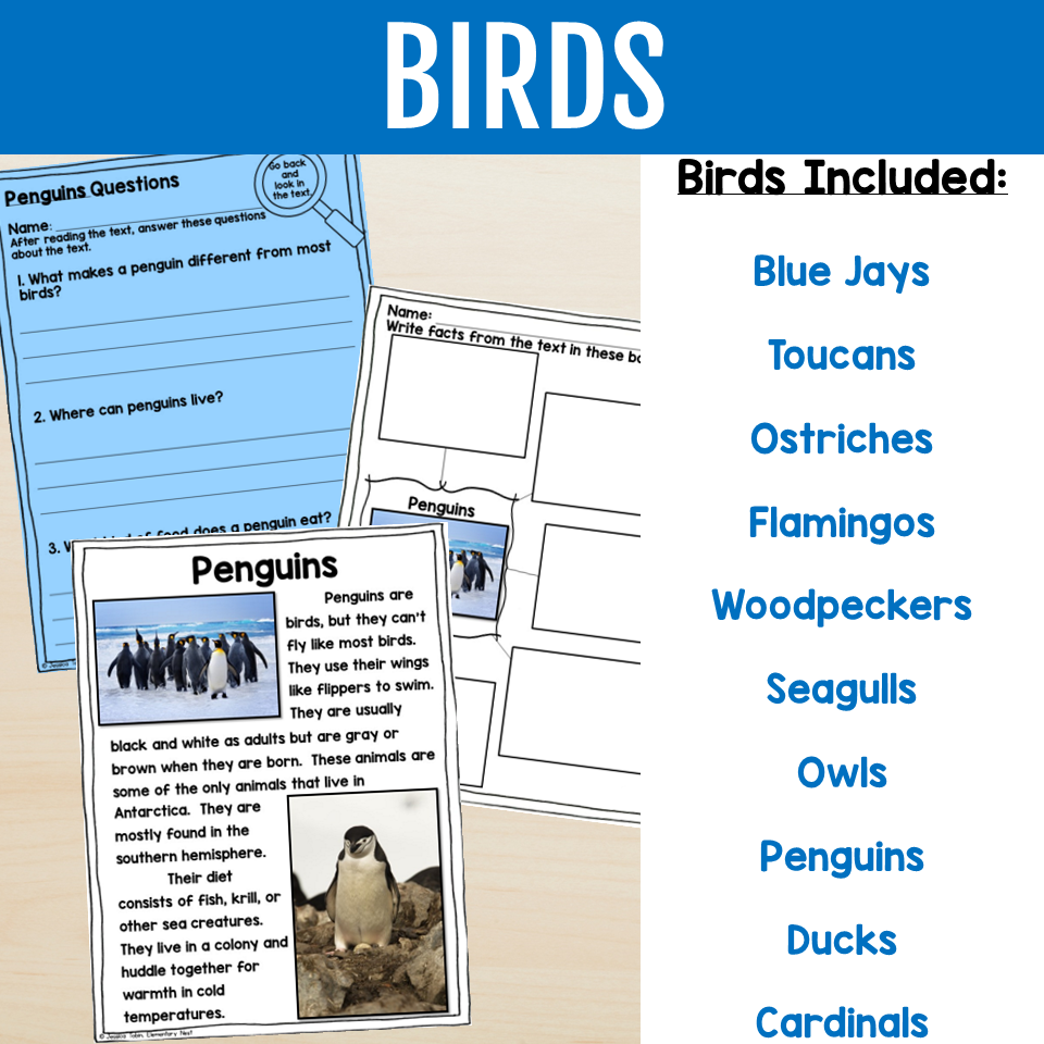 Birds Nonfiction Unit